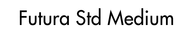 FontsMarket Details Of Futura Std Medium Font
